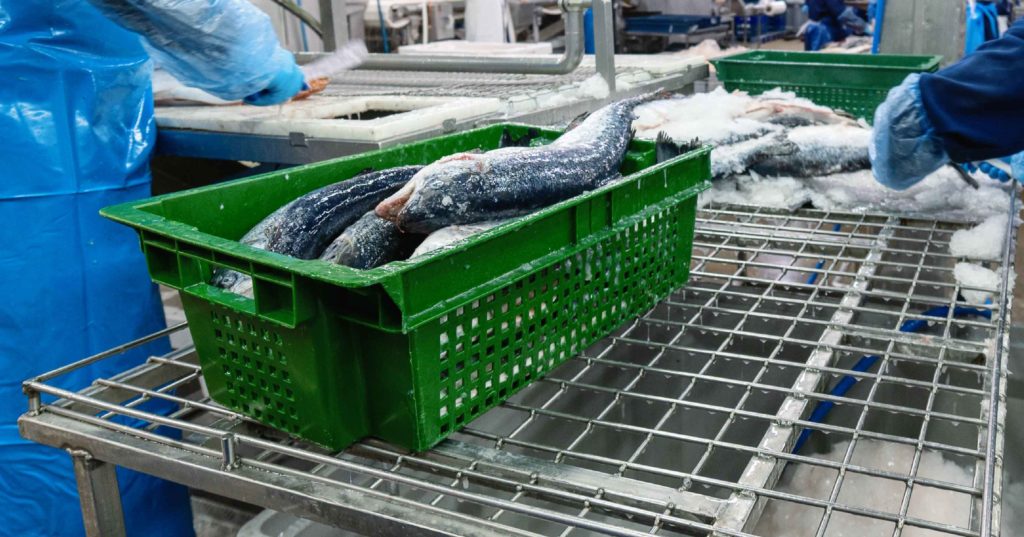 Tackling harmonics on a weak grid in a fish processing plant - Merus Power